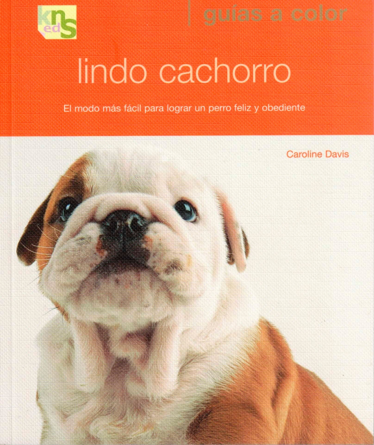 LINDO CACHORRO. EL MODO MáS FáCIL PARA LOGRAR UN PERRO FELIZ Y ...